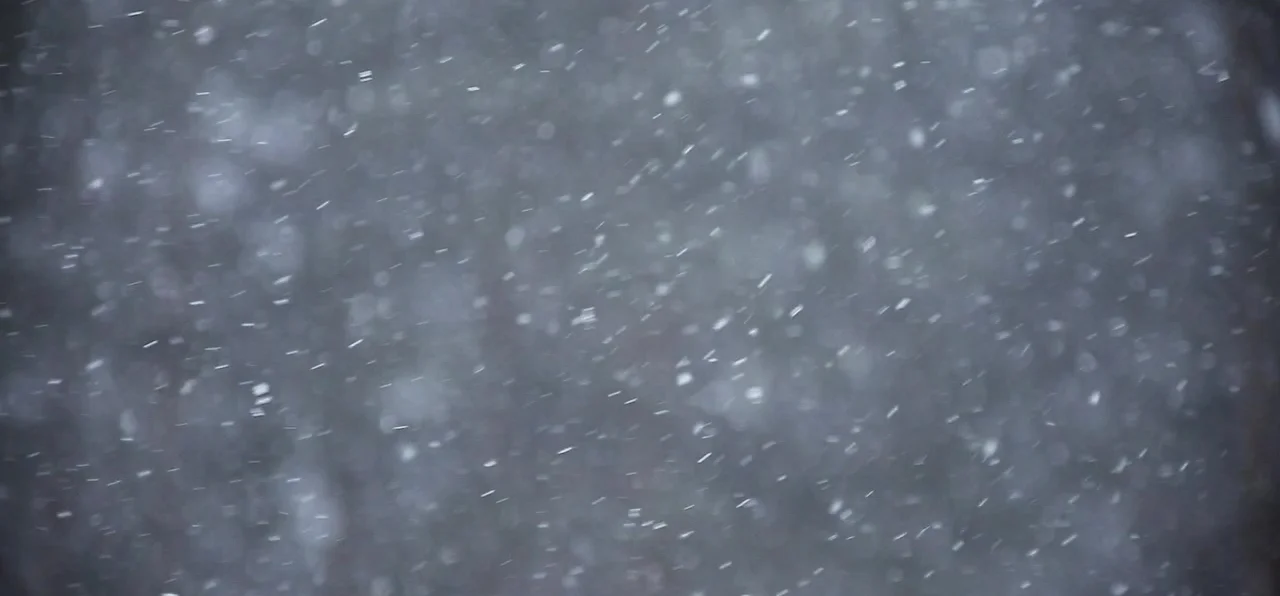 Disney FROZEN | The Broadway Musical : detailed information - frozen